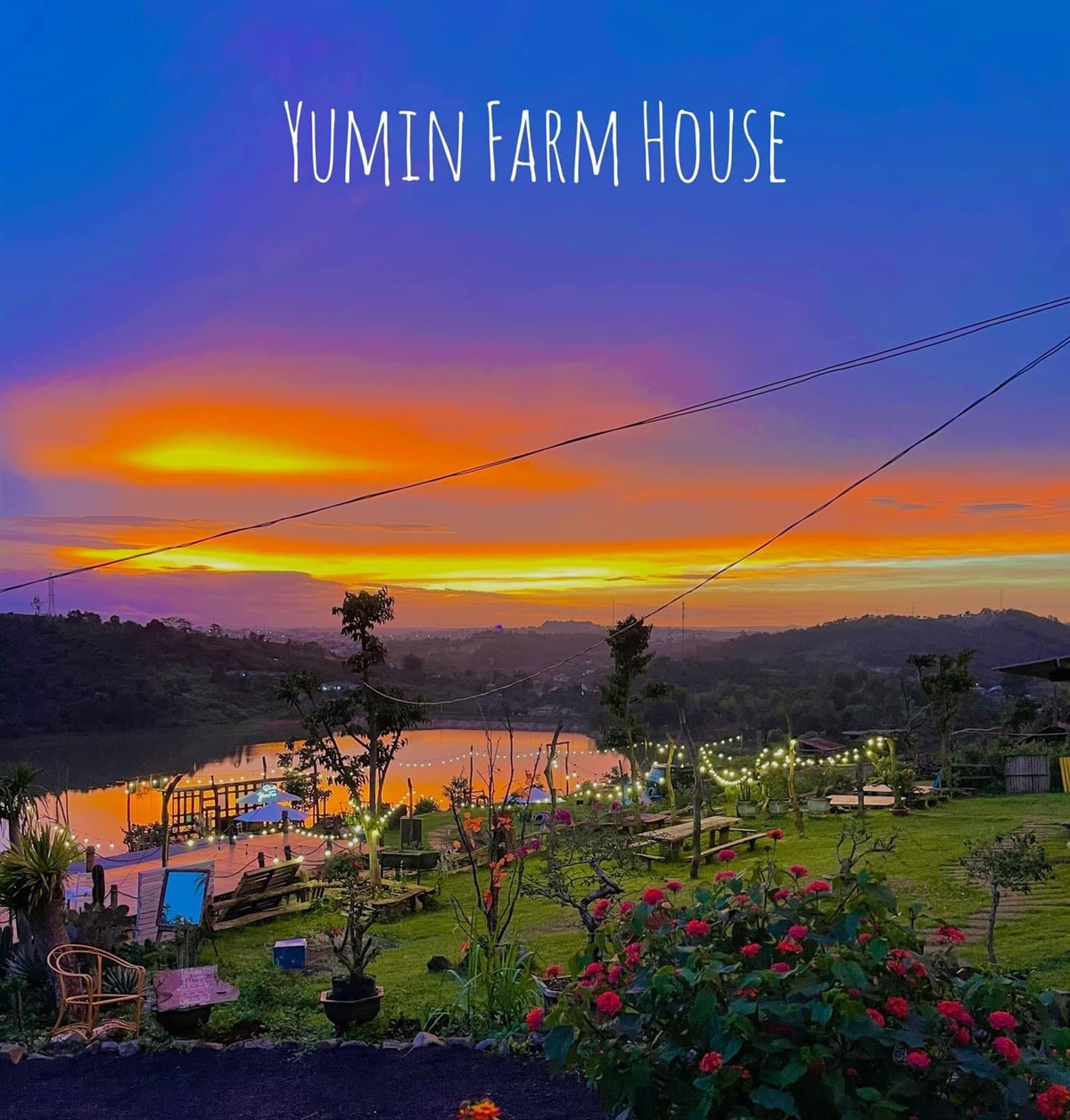Yumin’s Farm